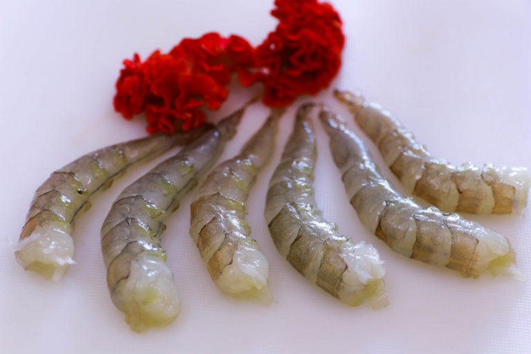 PD Vannamei Shrimp | Viet Nam Fishes