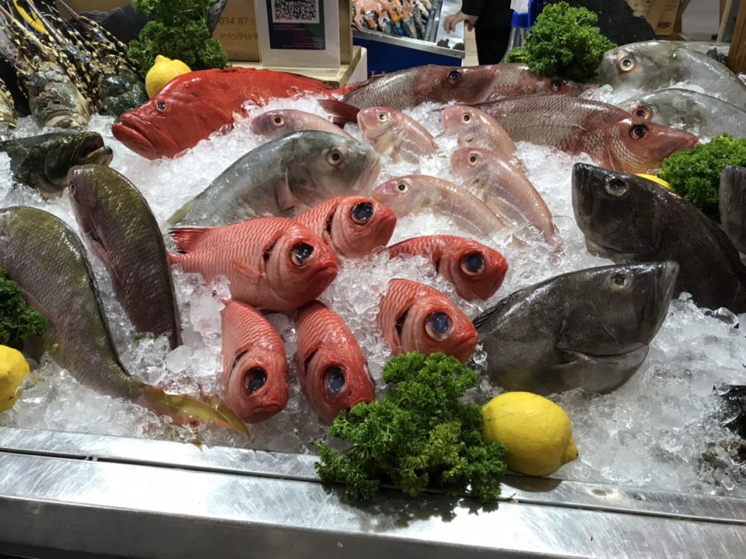 Vietnam Fishes attends Thaifex 2019 for the first time.